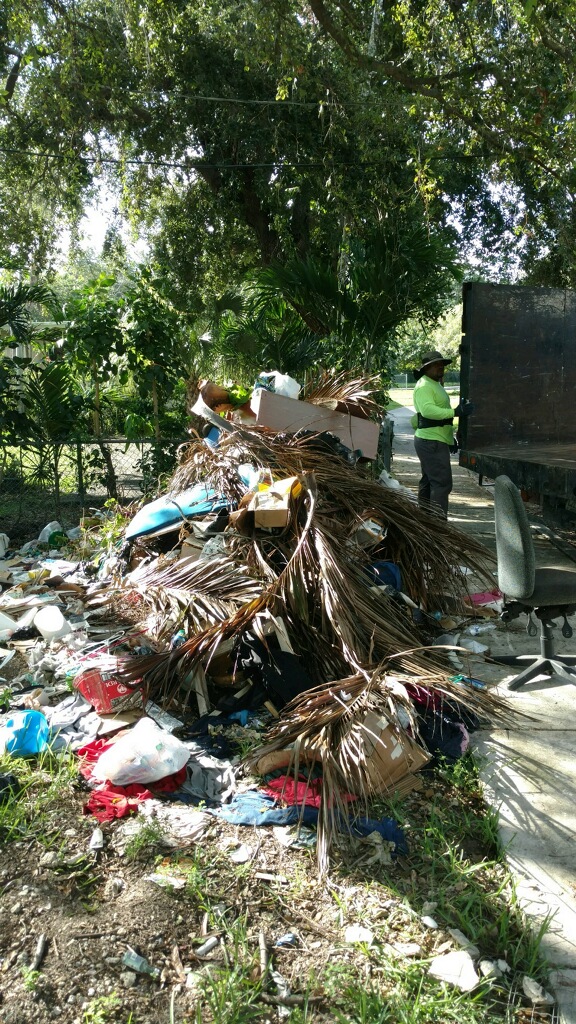 Junk Removal Miami, FL | Book Today! $125.00 | Call 786-837-6115